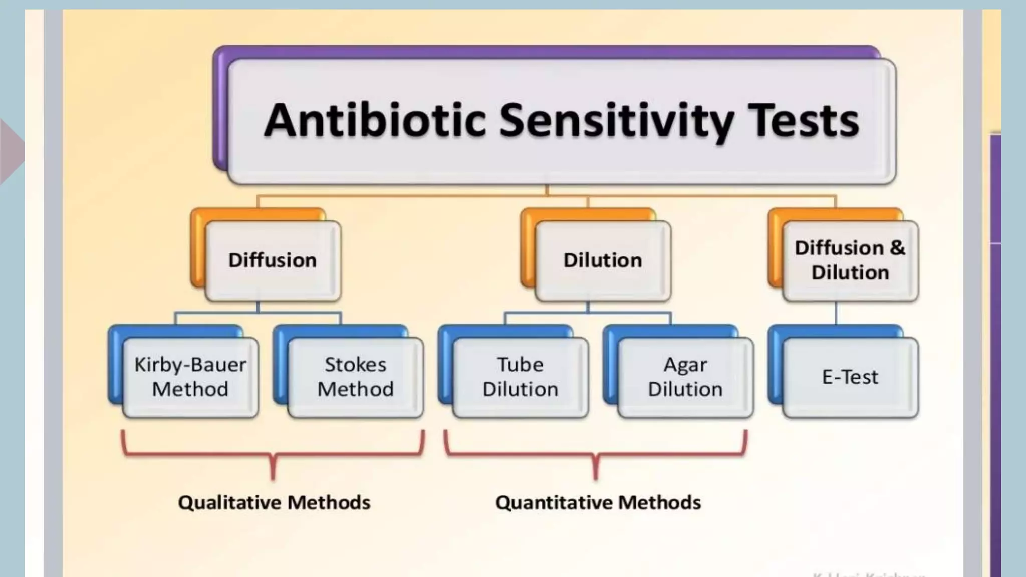 drug susceptibility testing by Pranzly.pptx