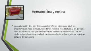 Praparacion de muestras histologia | PPSX