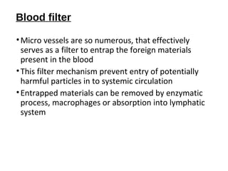blood supply of lungs | PPT