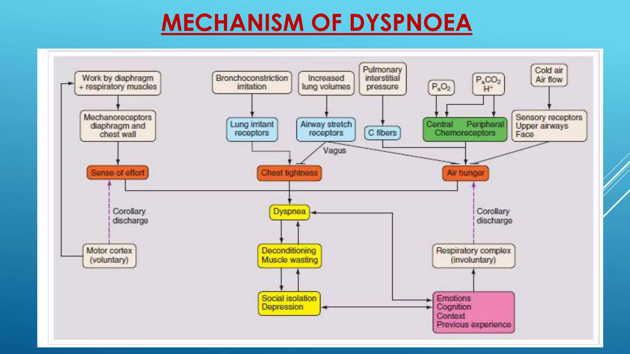 evaluation of dyspnoea | PPTX