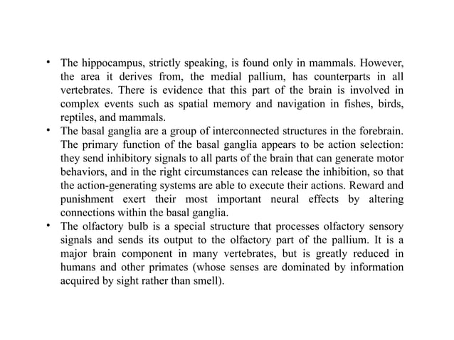 Prarthana Chatterjee Brain structure.pptx.ppt