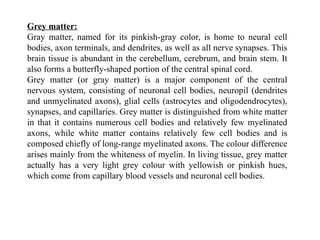 Prarthana Chatterjee Gray Matter-ppt-2.pptx.ppt