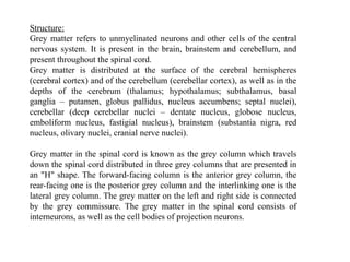 Prarthana Chatterjee Gray Matter-ppt-2.pptx.ppt
