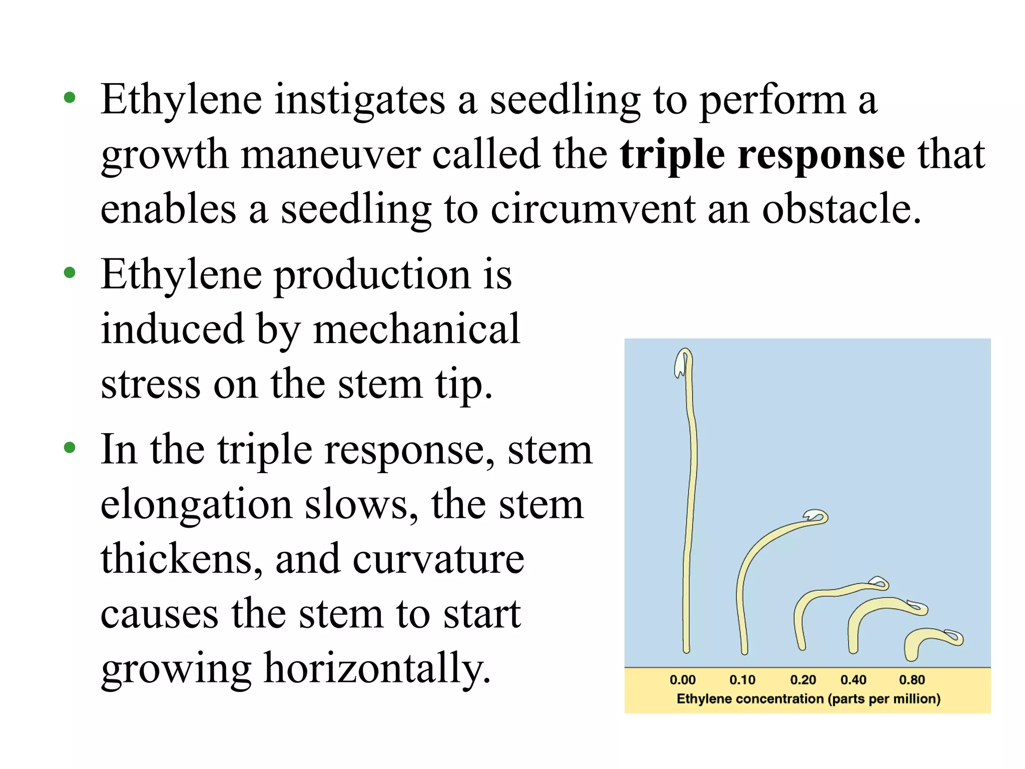 Molecular And Biochemical Steps In Biosynthesis Of Ethylene In Plant | PPTX
