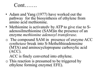 Molecular And Biochemical Steps In Biosynthesis Of Ethylene In Plant | PPTX