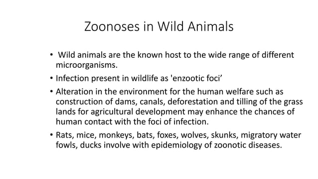 Zoonoses in wild animals presentation.pptx