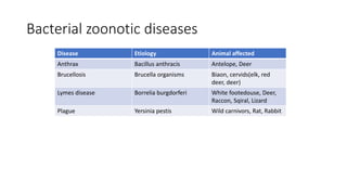 Zoonoses in wild animals presentation.pptx