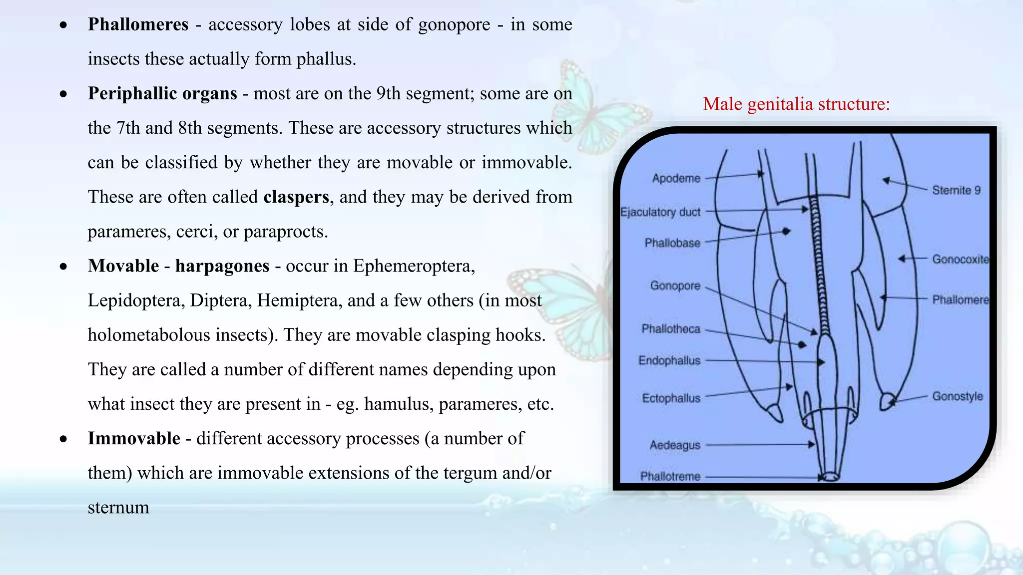 Insect Genitalia: It’s Structure, functions and modification in ...
