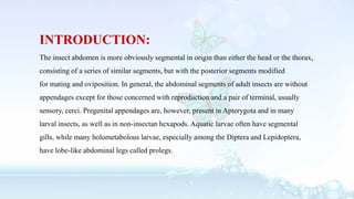 Insect Genitalia: It’s Structure, functions and modification in ...