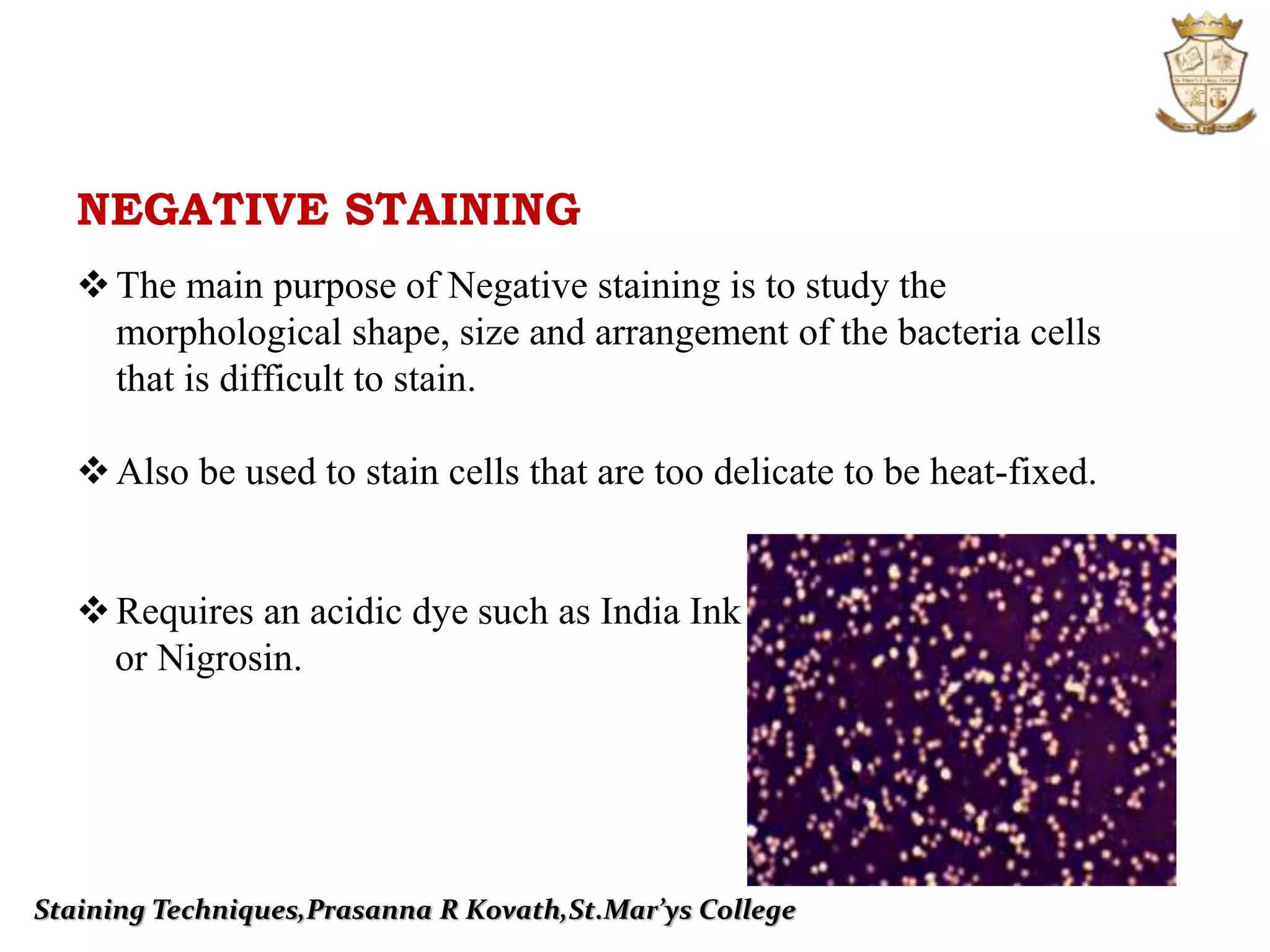 Biotechnology:Staining Techniques | PPT