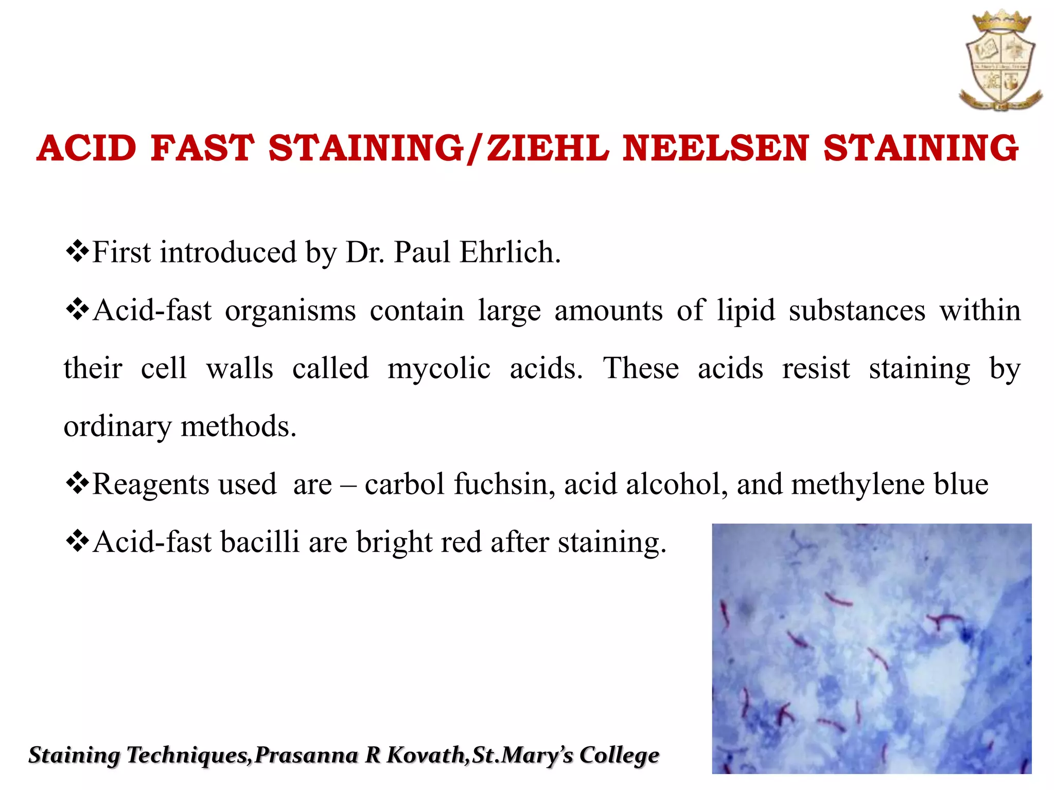 Biotechnology:Staining Techniques | PPT