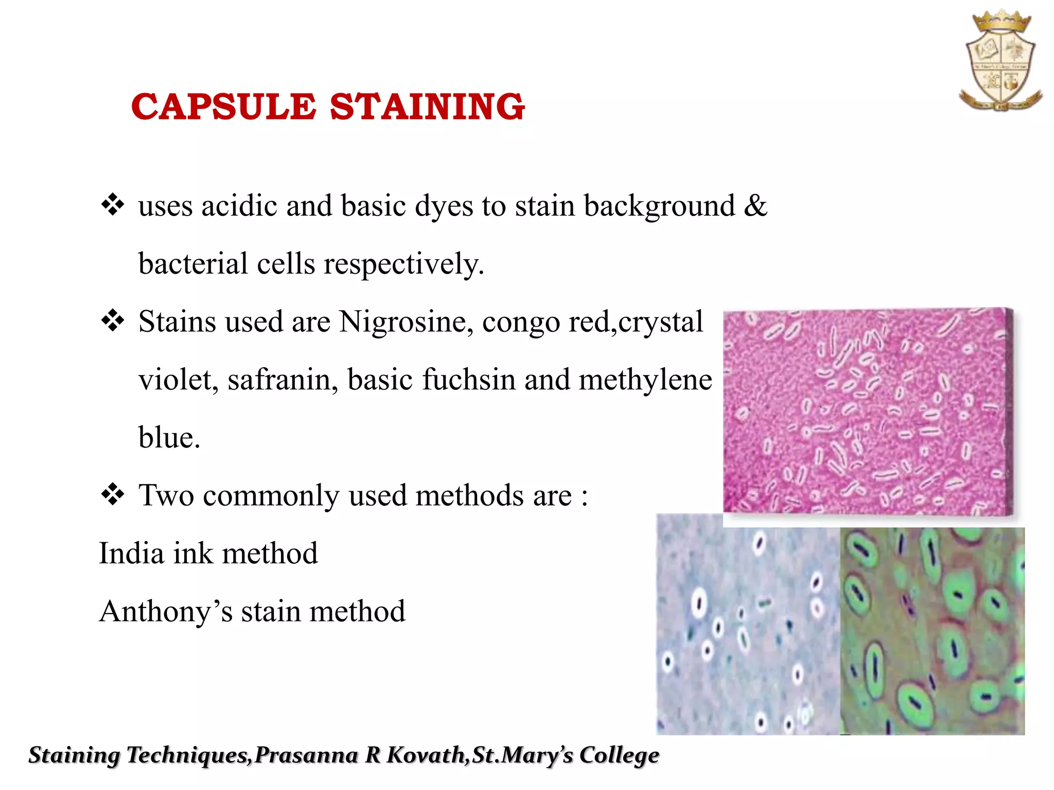 Biotechnology:Staining Techniques | PPT