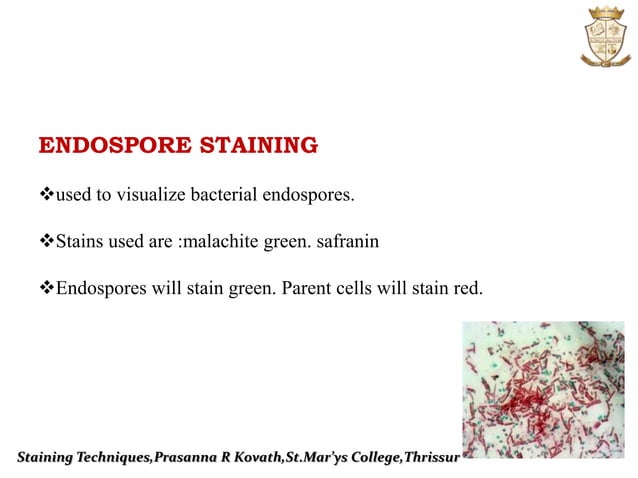 Biotechnology:Staining Techniques | PPT