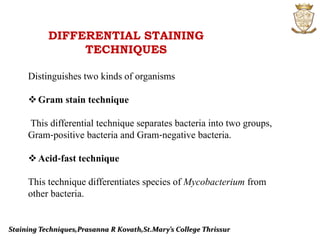 Biotechnology:Staining Techniques | PPT