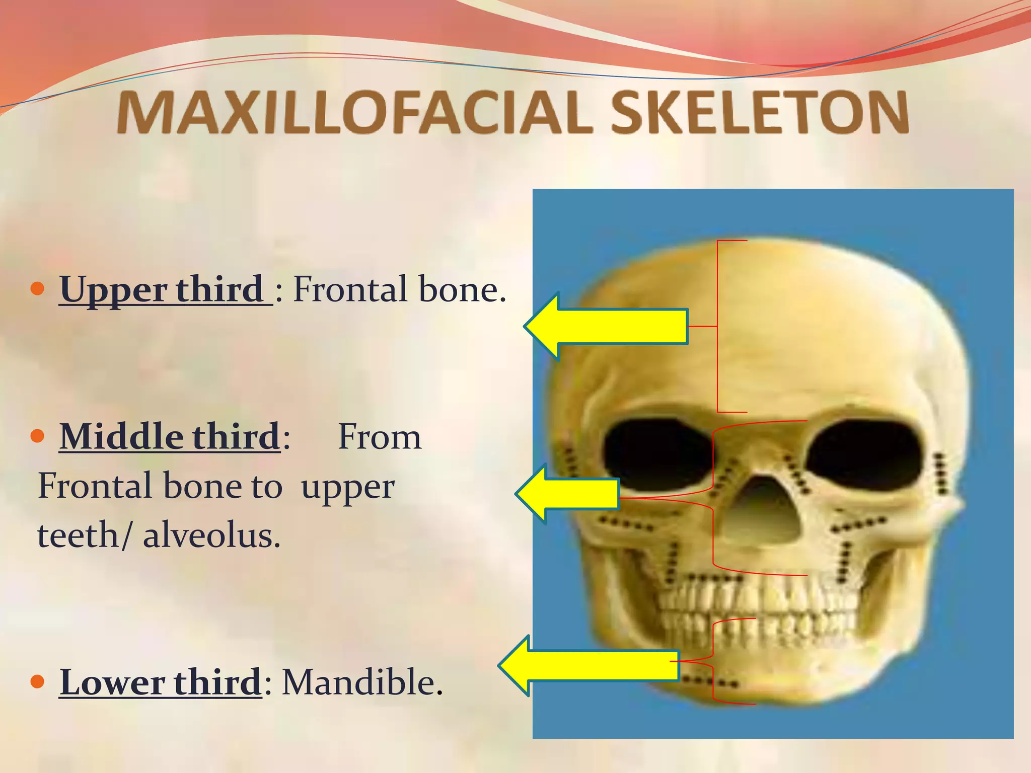 Mandibular Fracture Types & Management | PPTX