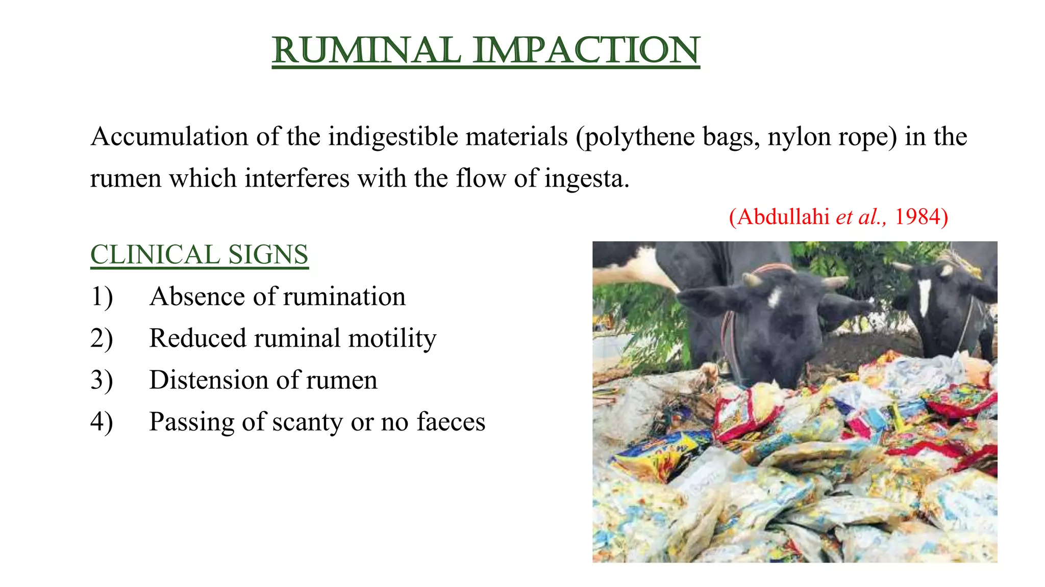 RUMEN DYSFUNCTIONS.pptx