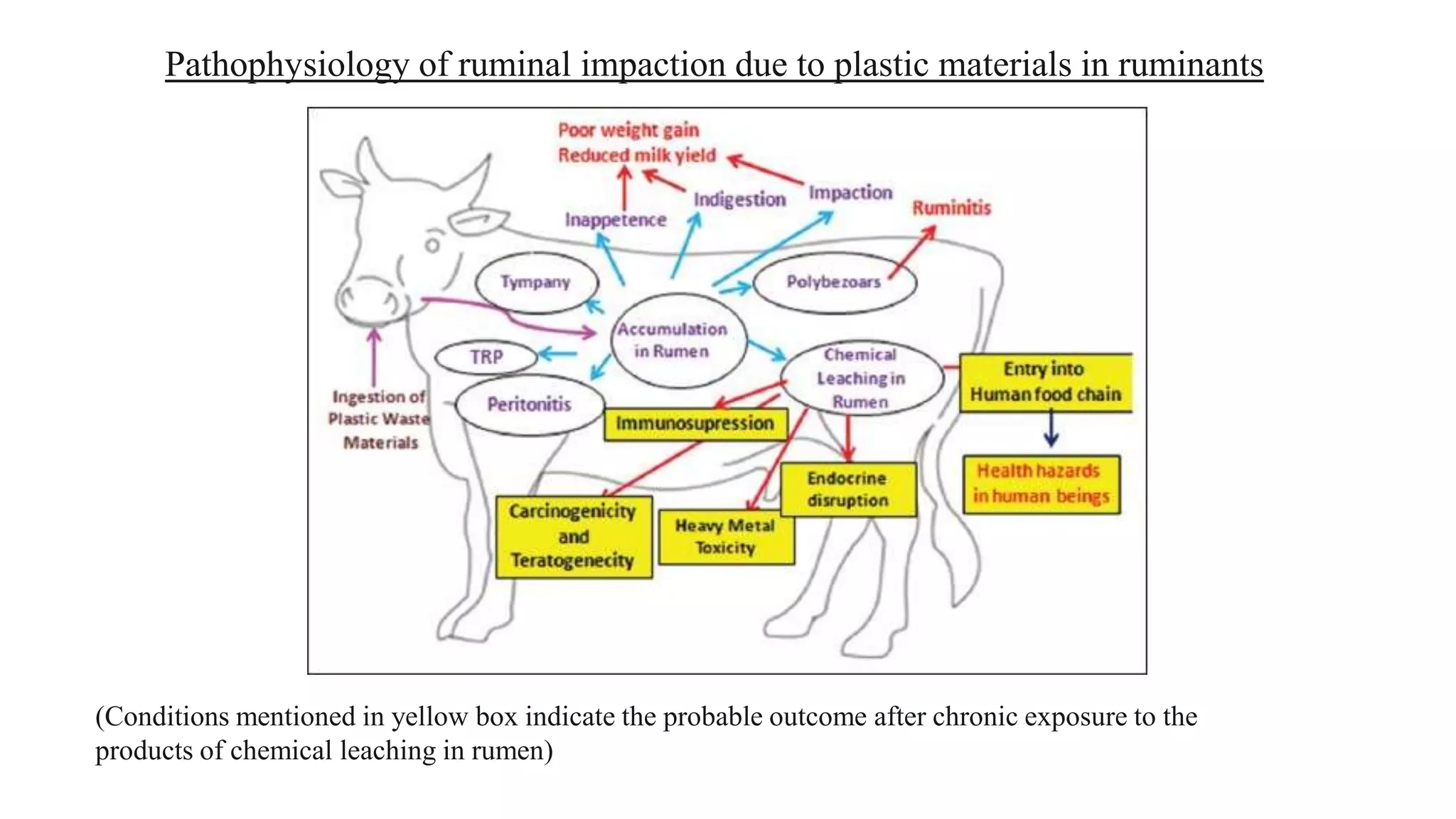 RUMEN DYSFUNCTIONS.pptx