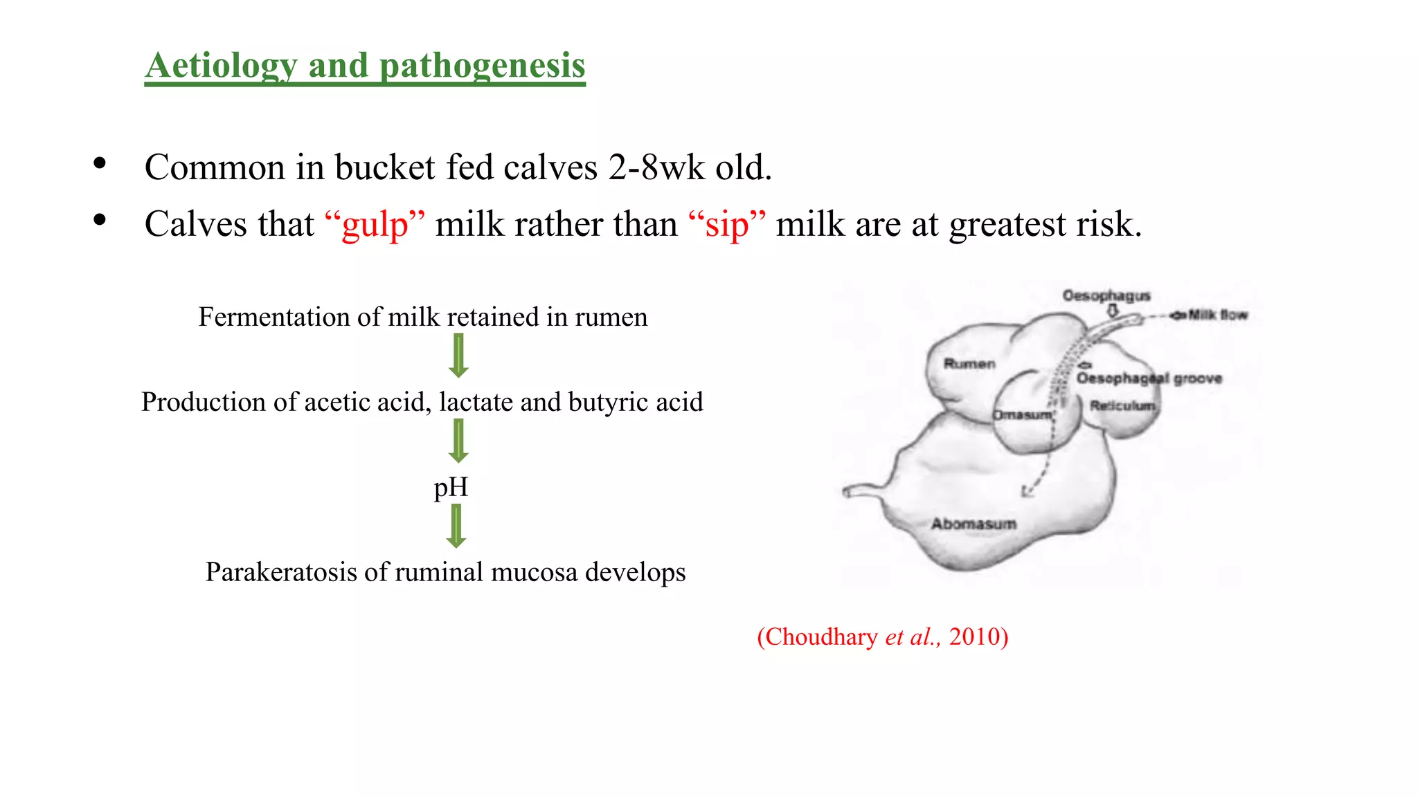 RUMEN DYSFUNCTIONS.pptx