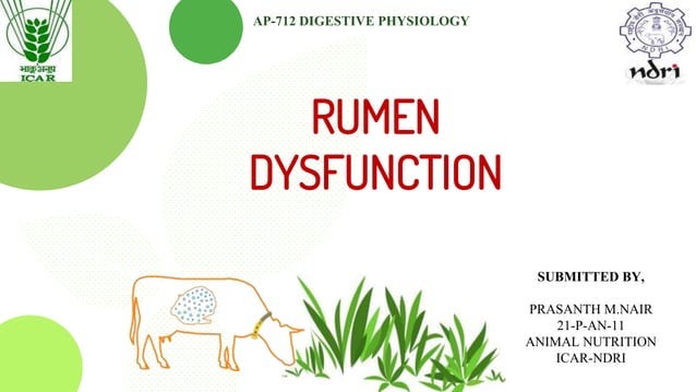 RUMEN DYSFUNCTIONS.pptx