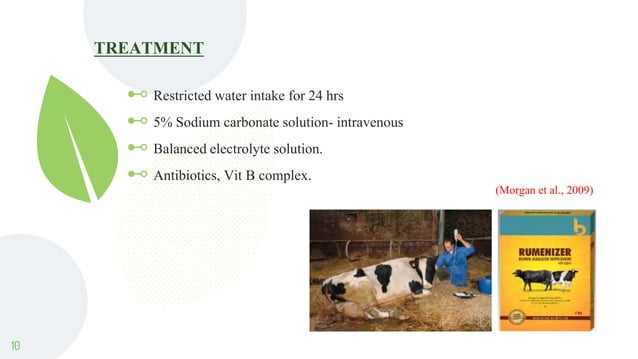 RUMEN DYSFUNCTIONS.pptx