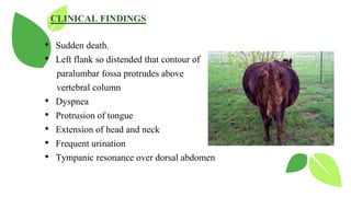 RUMEN DYSFUNCTIONS.pptx