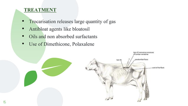 RUMEN DYSFUNCTIONS.pptx