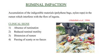 RUMEN DYSFUNCTIONS.pptx