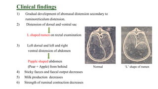 RUMEN DYSFUNCTIONS.pptx