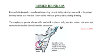 RUMEN DYSFUNCTIONS.pptx