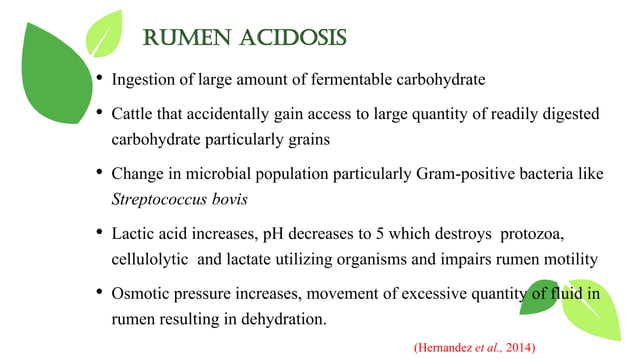 RUMEN DYSFUNCTIONS.pptx