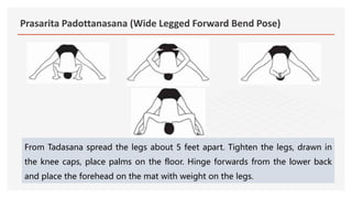 Prasarita Padottanasana Anatomy