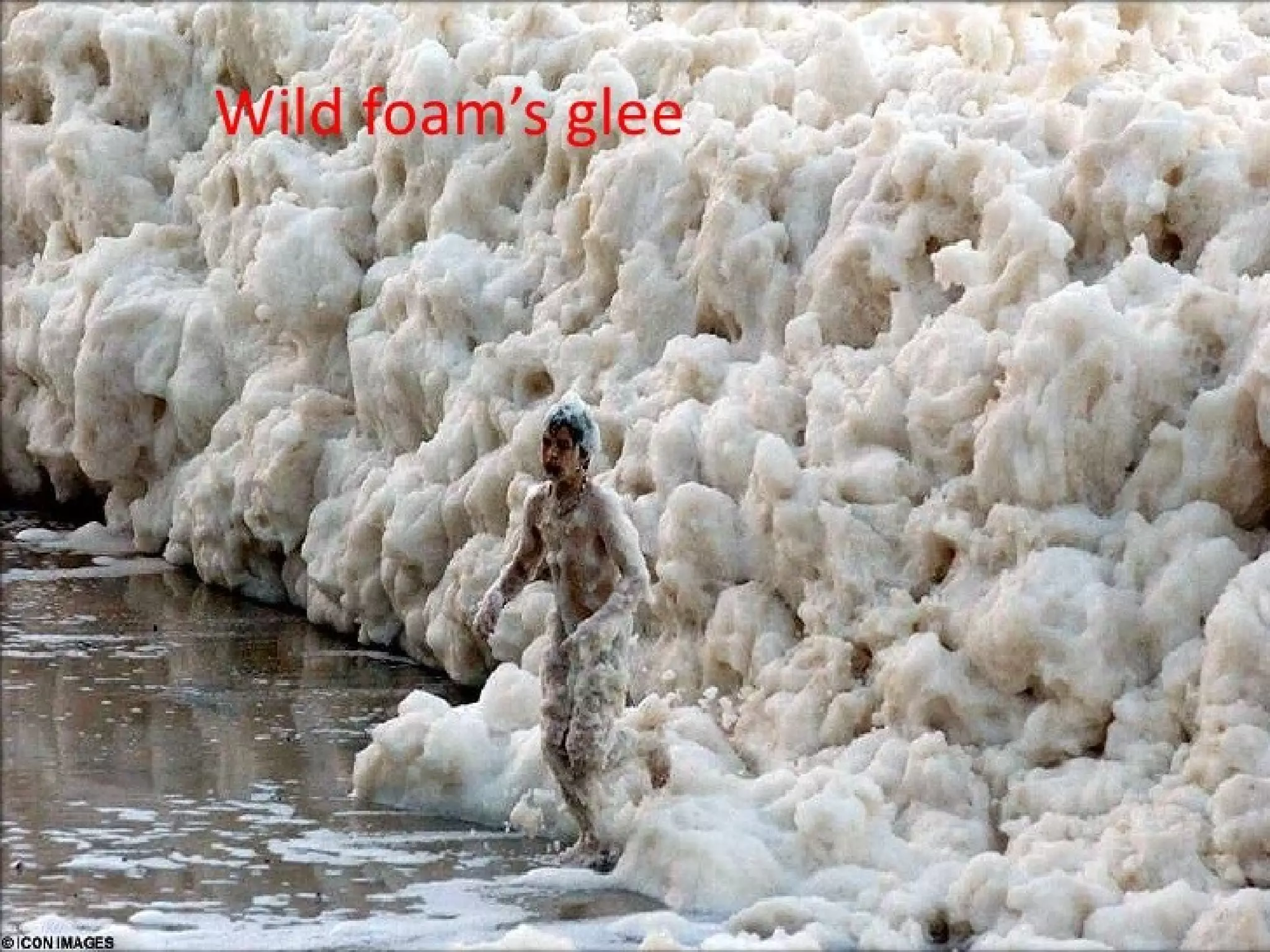 Praseetha cp ppt | PPT