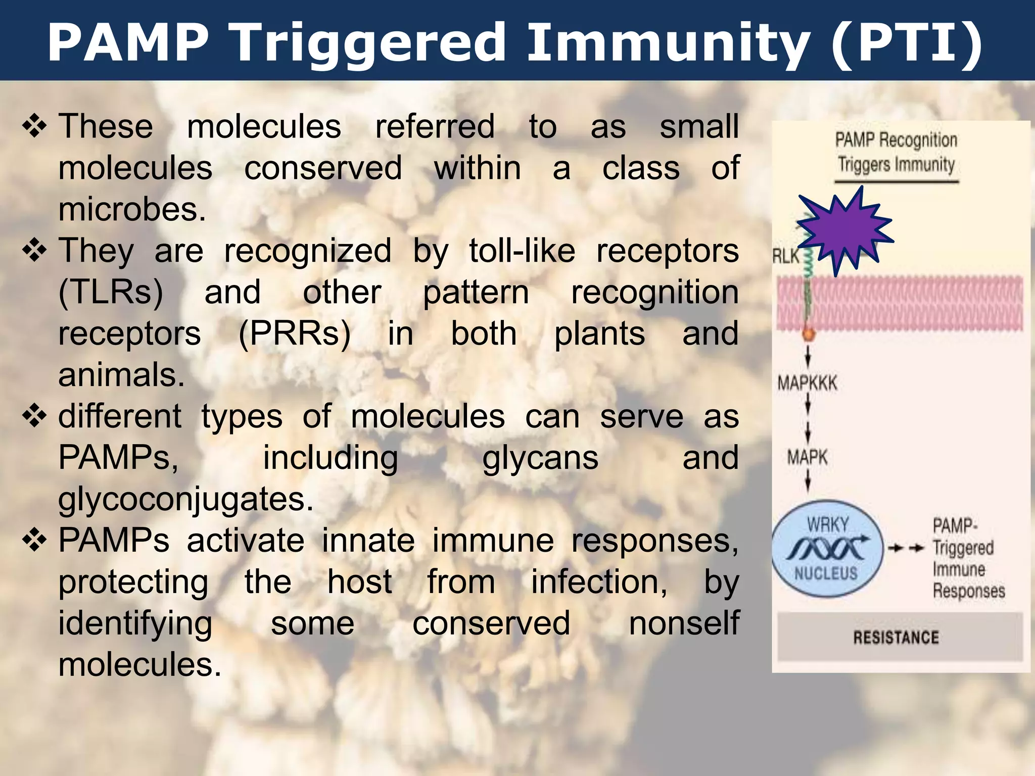 Defence Mechanism In Plants Against Fungal Pathogen | PPTX