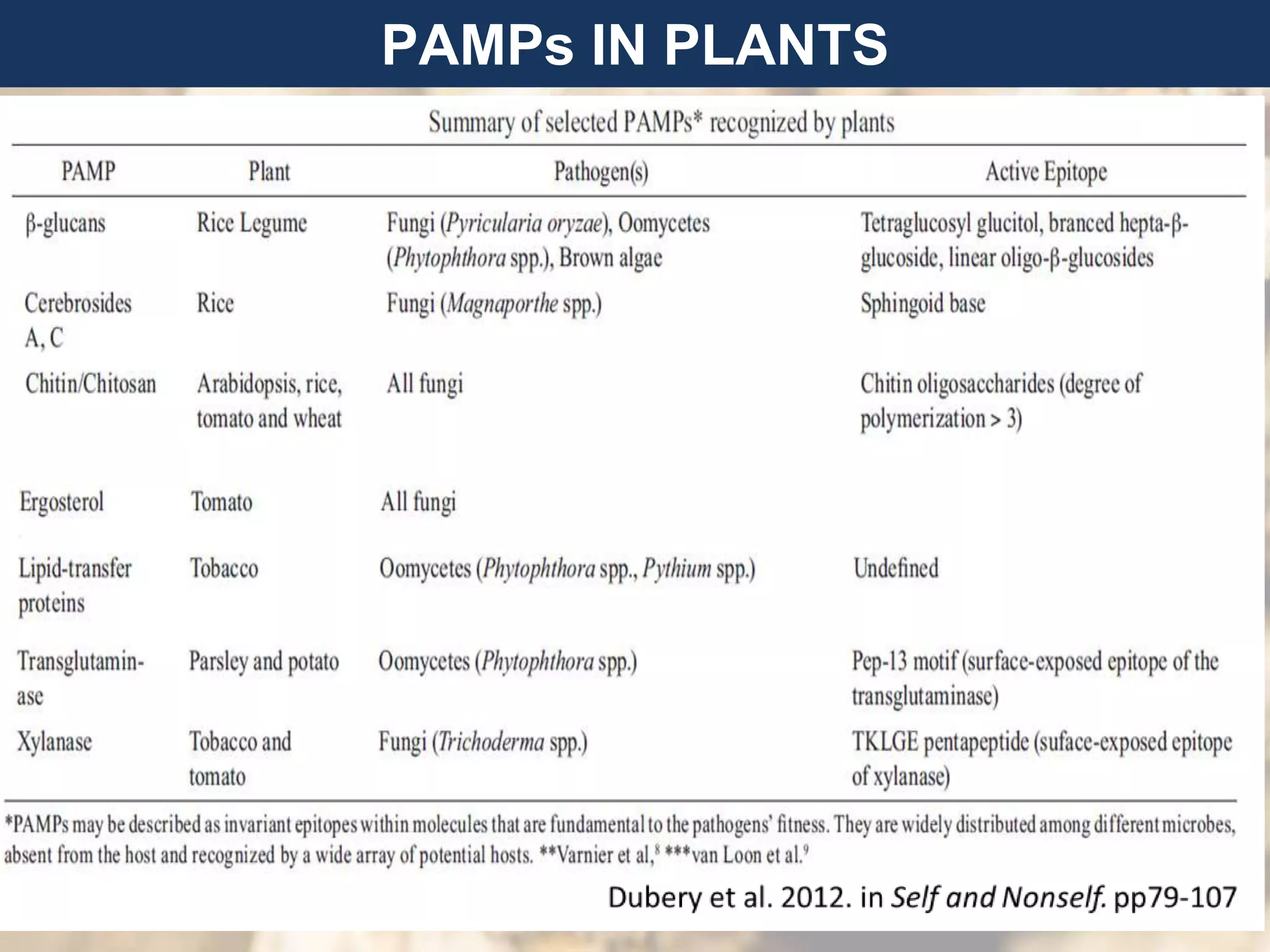 Defence Mechanism In Plants Against Fungal Pathogen | PPTX