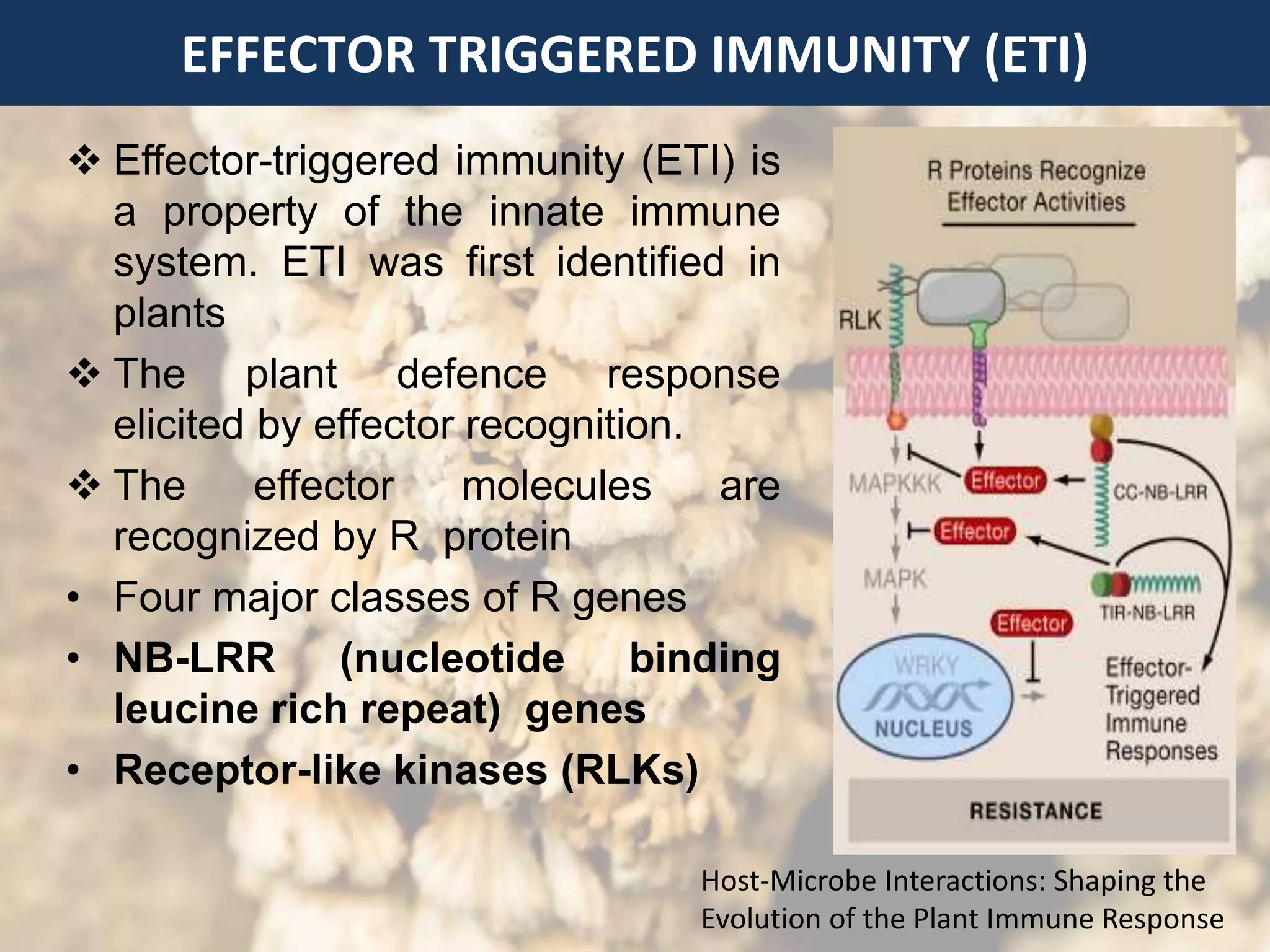 Defence Mechanism In Plants Against Fungal Pathogen | PPTX