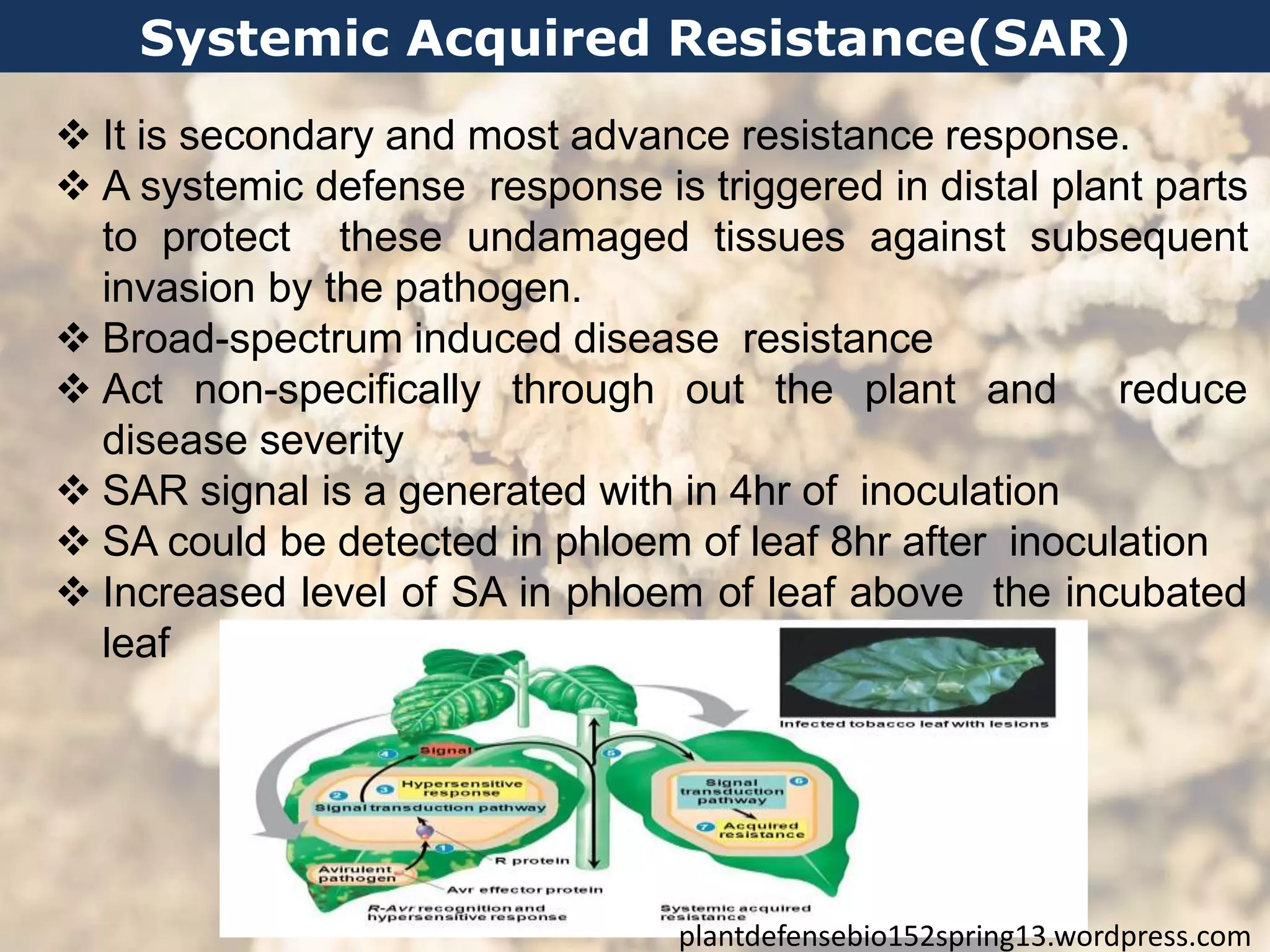 Defence Mechanism In Plants Against Fungal Pathogen | PPTX