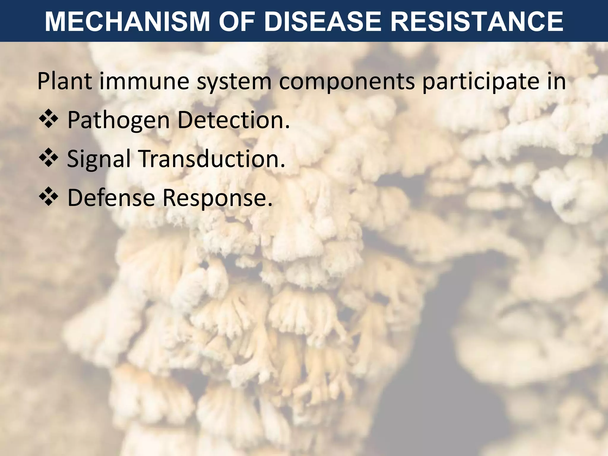 Defence Mechanism In Plants Against Fungal Pathogen | PPTX