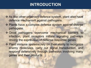 Defence Mechanism In Plants Against Fungal Pathogen | PPTX