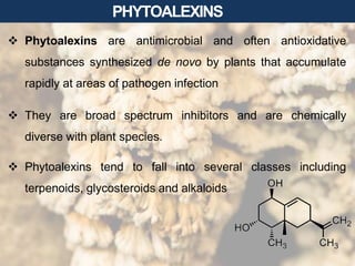 Defence Mechanism In Plants Against Fungal Pathogen | PPTX