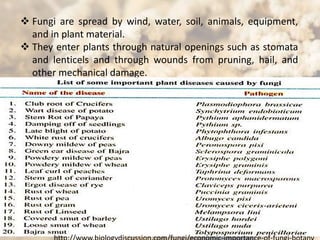 Defence Mechanism In Plants Against Fungal Pathogen | PPTX