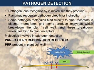 Defence Mechanism In Plants Against Fungal Pathogen | PPTX