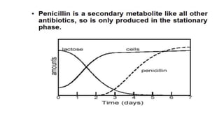 Penicillin | PPT