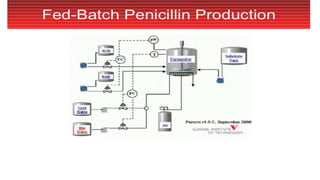 Penicillin | PPT