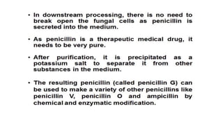 Penicillin | PPTX