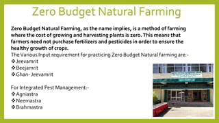 Organic and Zero budget Natural Farming | PPTX