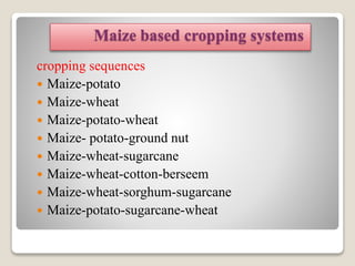 PRASHANT SEMINAR SSNM precision farming - Copy.ppt