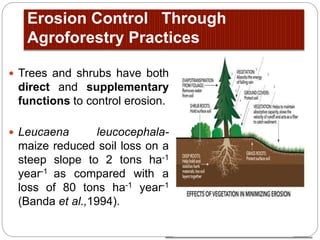 Agroforestry: A Land Degradation Control and Mitigation Approach | PPT