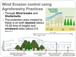 Agroforestry: A Land Degradation Control and Mitigation Approach | PPTX
