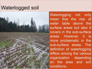 Agroforestry: A Land Degradation Control and Mitigation Approach | PPTX