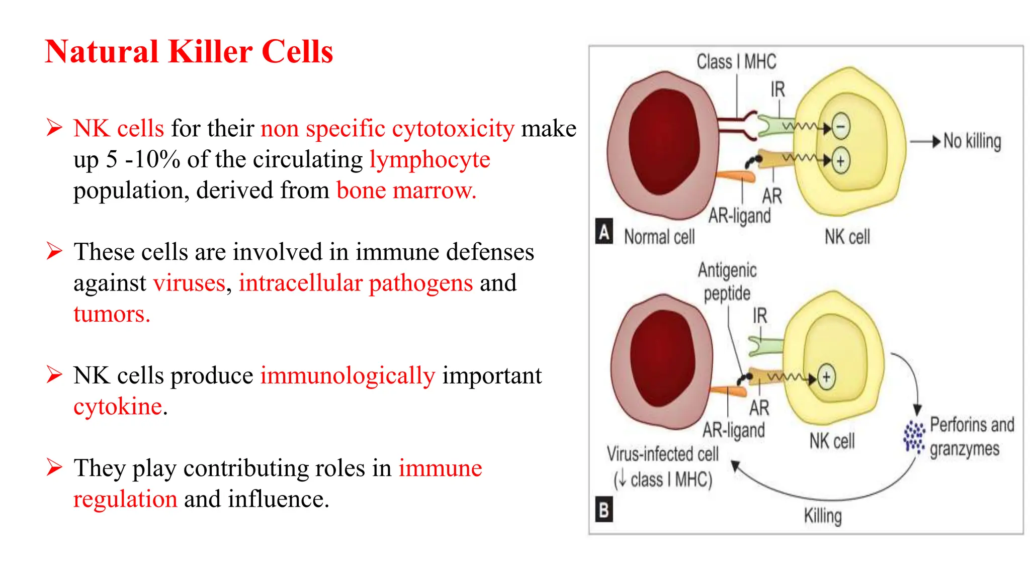 CELL AND HUMORAL immunity 1.pptx
